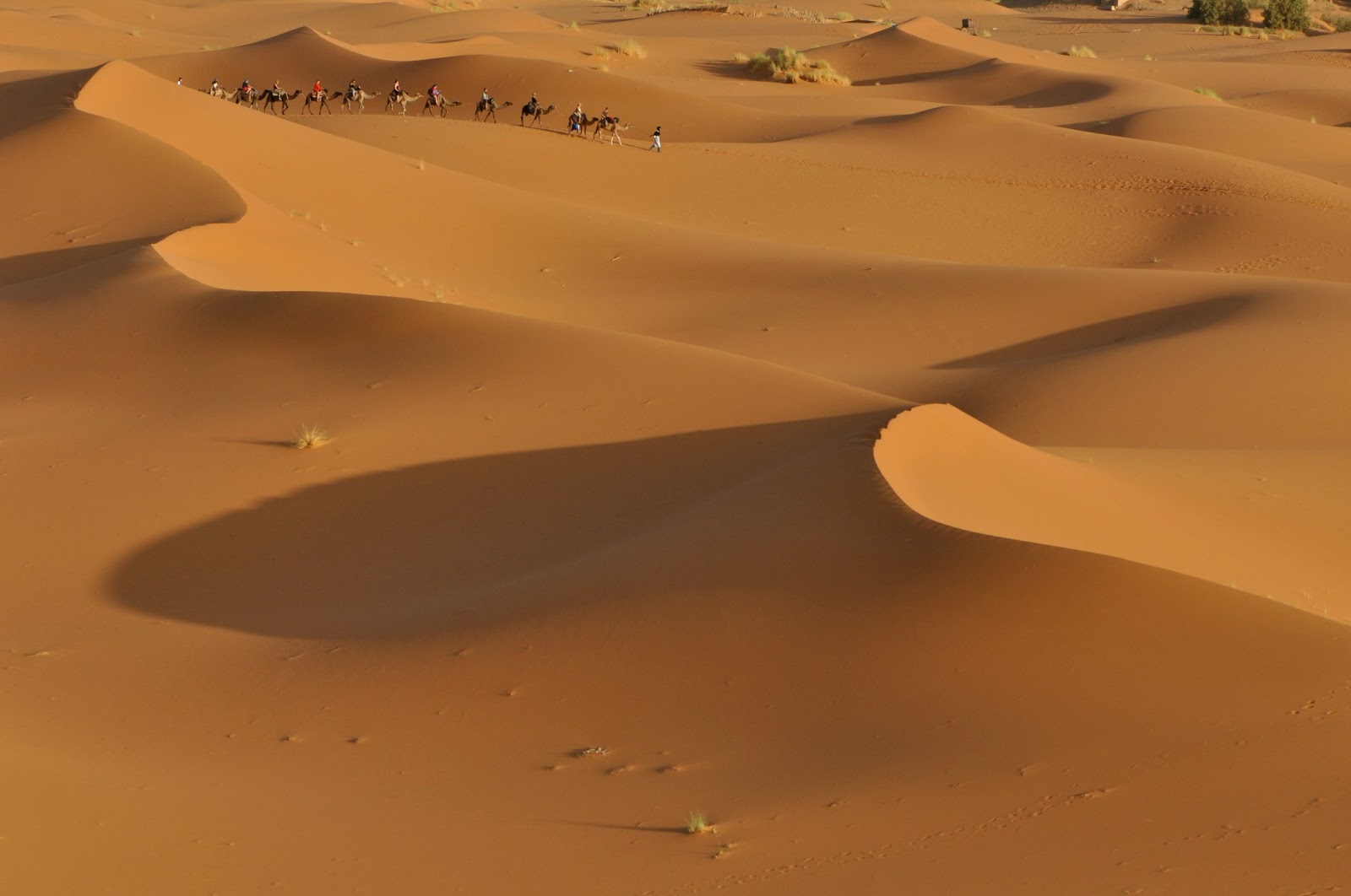 Desert Recovery Tactics | Aphcarios
